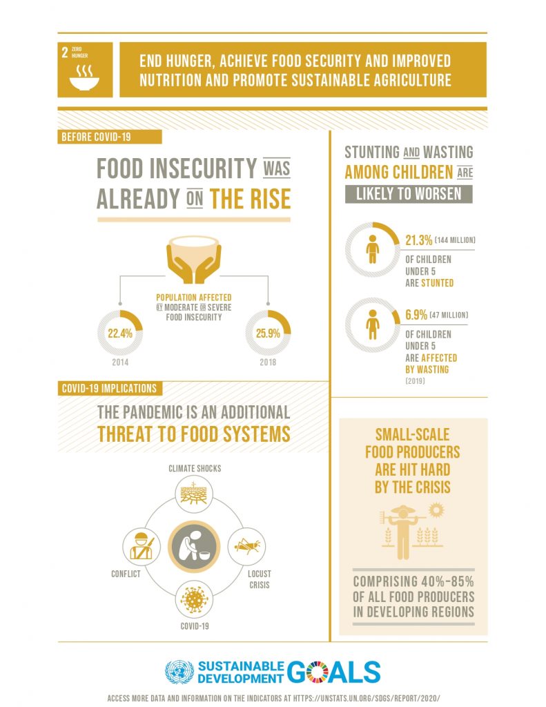 Goal 2: Zero Hunger | Essence Of Qatar